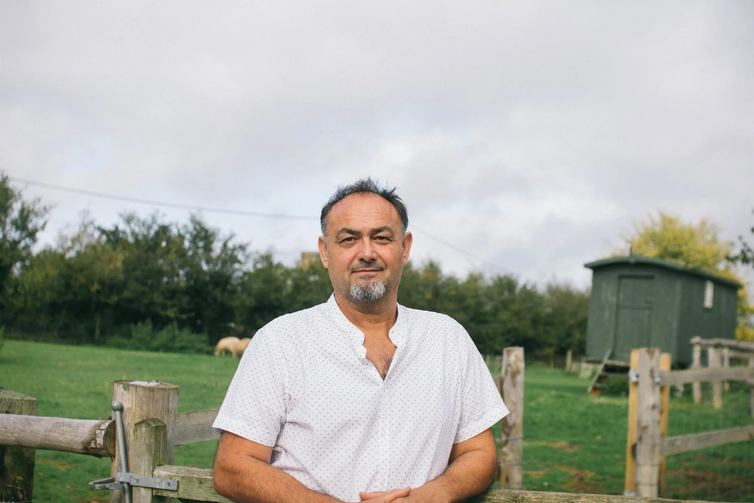 Our Team — Dorset Wellbeing