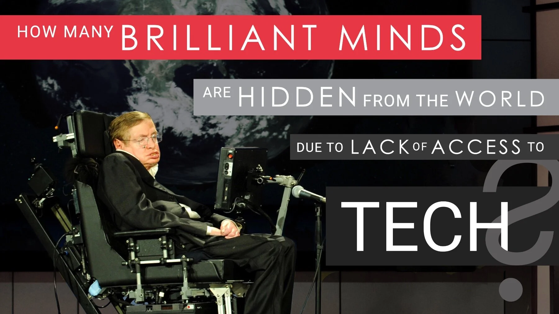 Polly — Fly Parrots