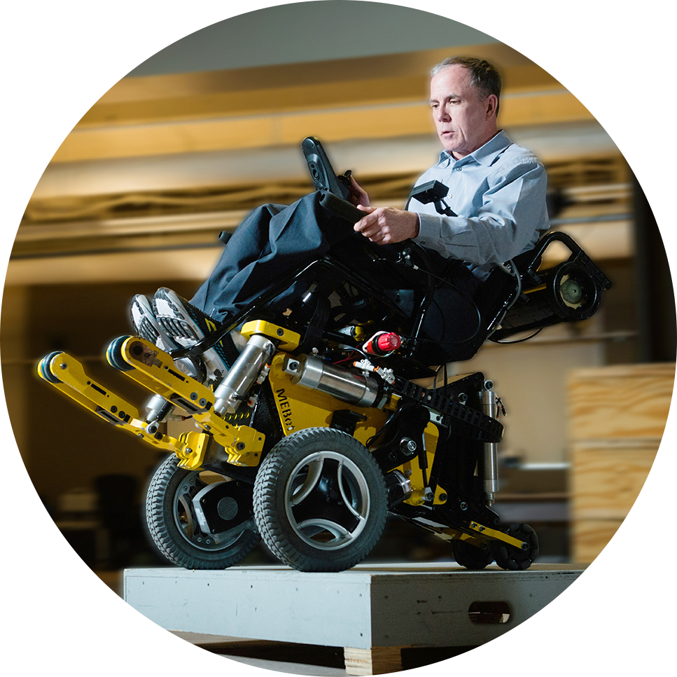 About — Fly Parrots