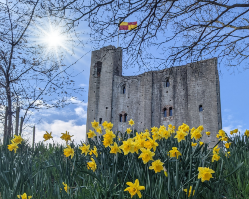 Entry & Prices — Hedingham Castle