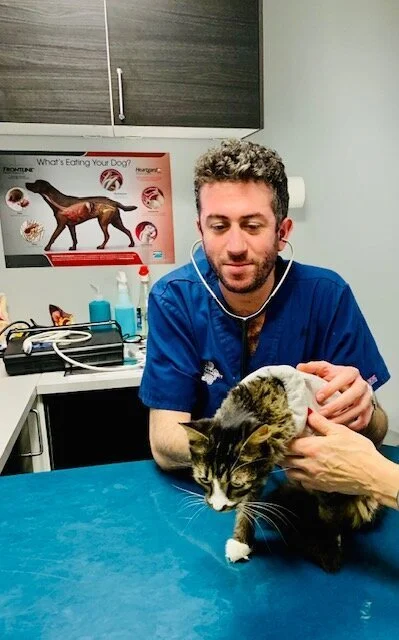 York Veterinary Center