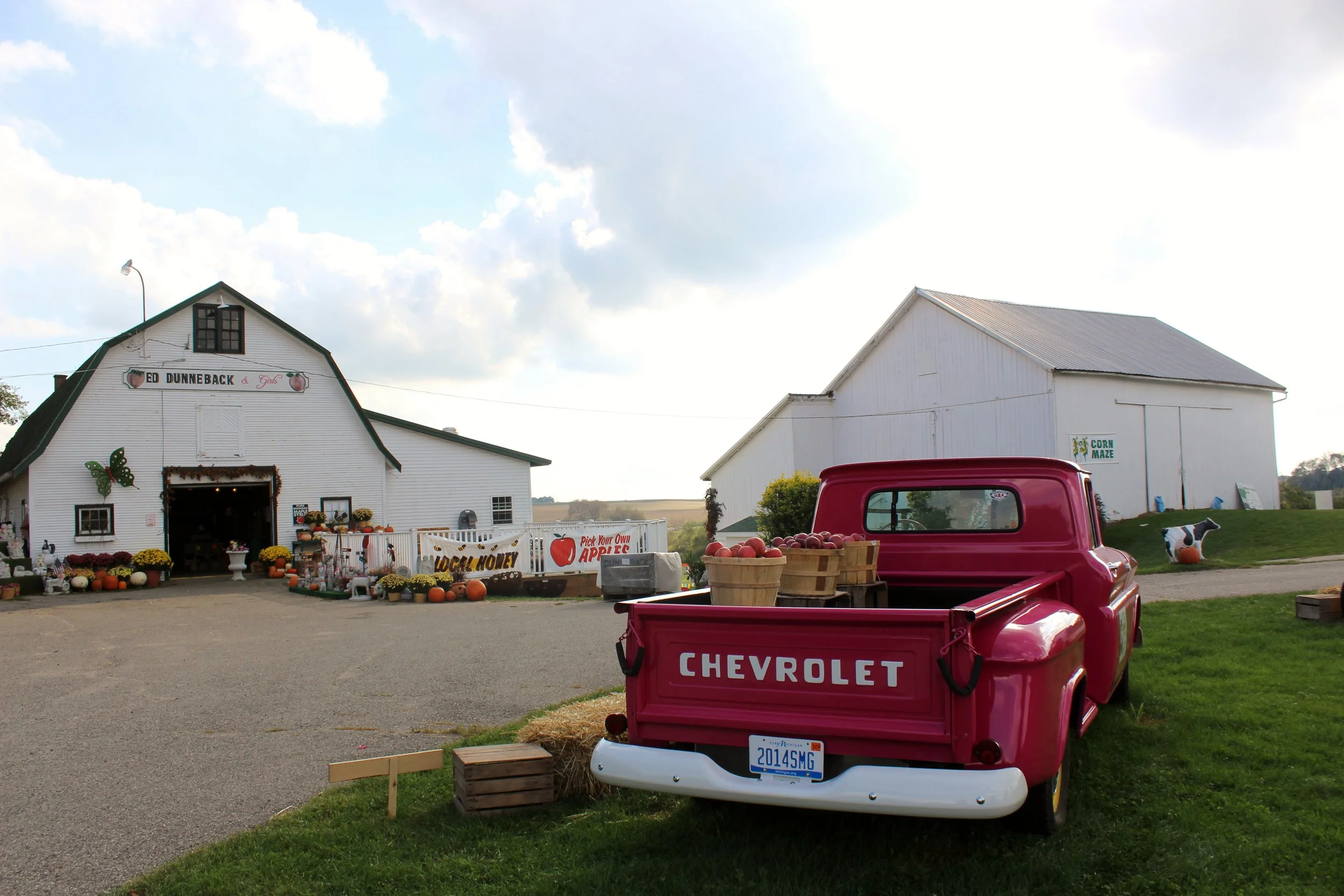 Shop — Ed Dunneback & Girls Farm