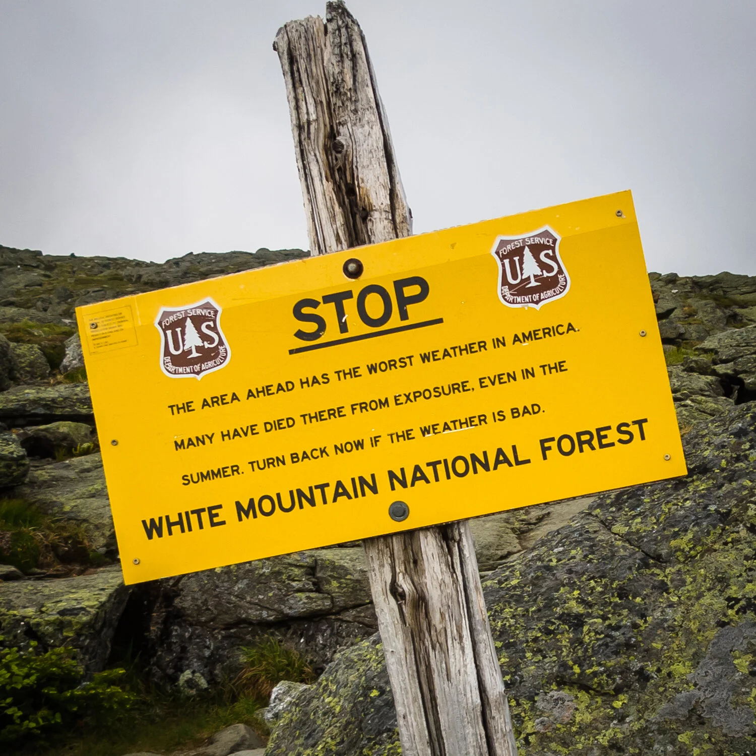 One-way Mount Washington Hiking — The Mount Washington Cog Railway