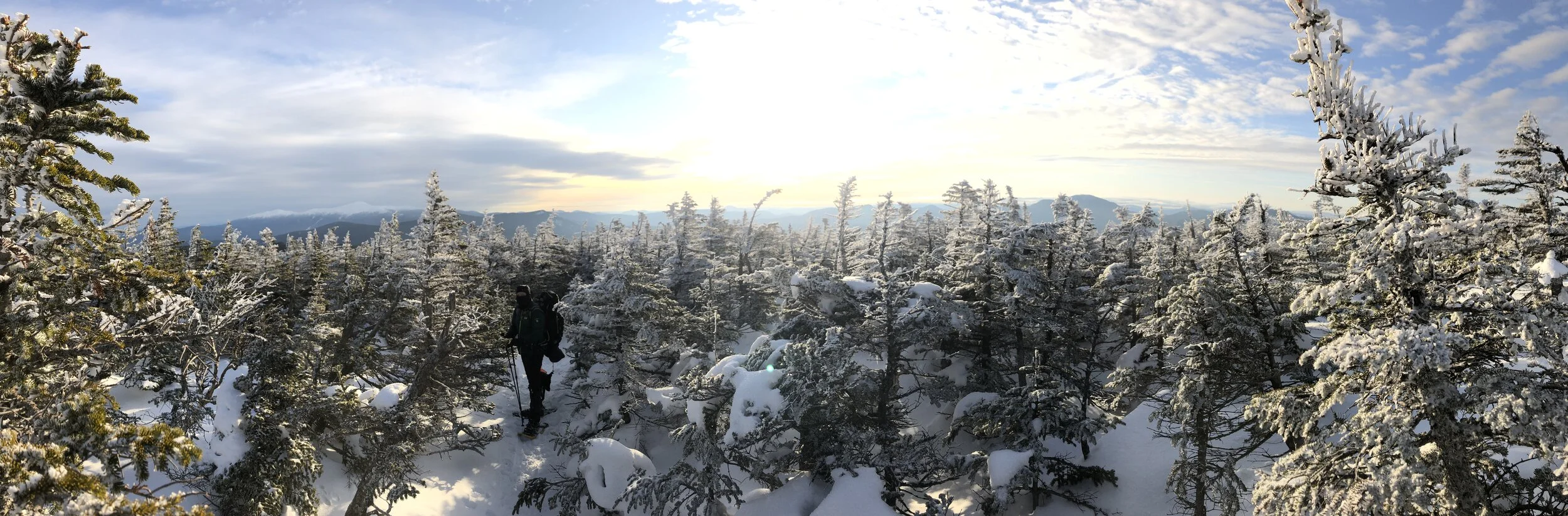 The Maffei Companies