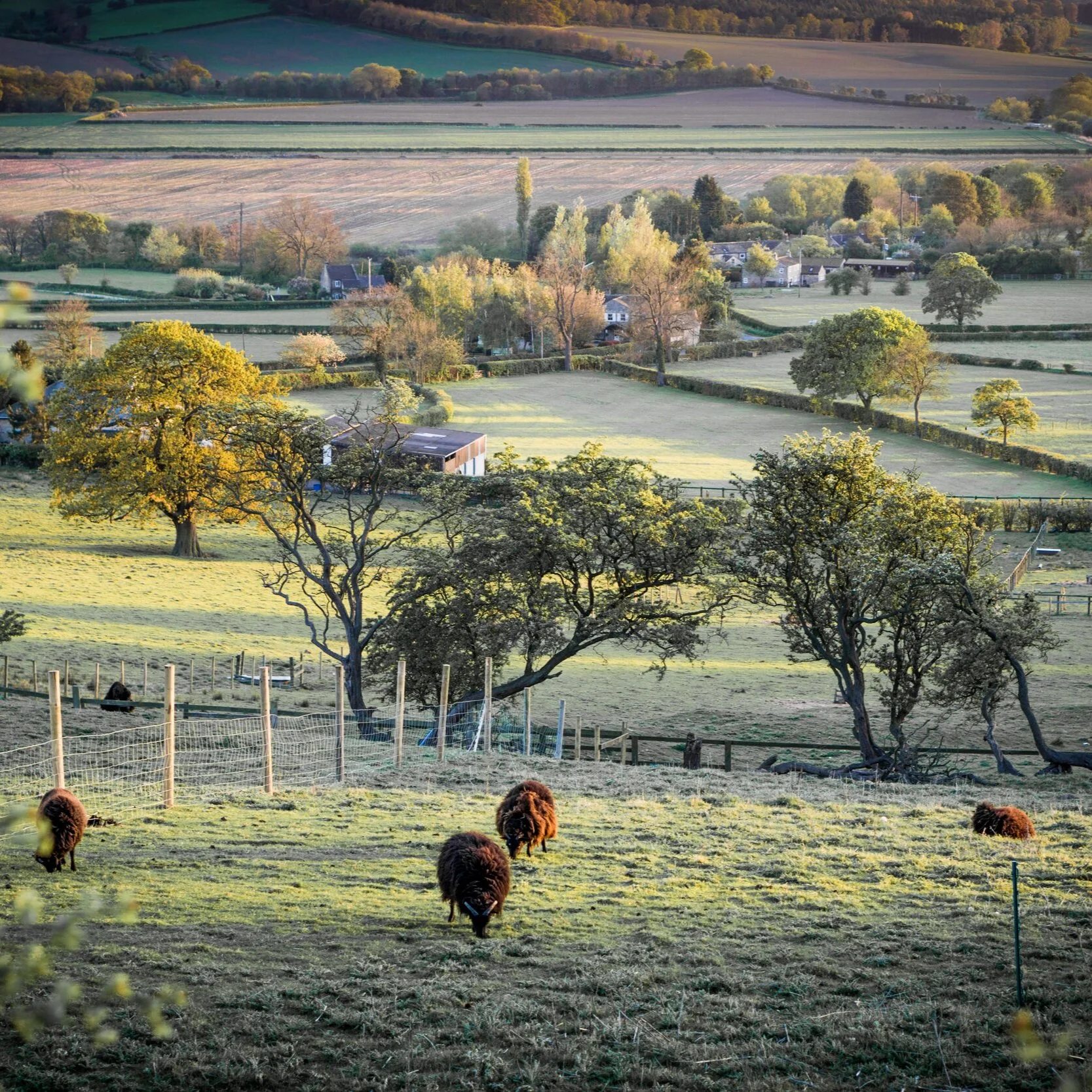 PPS 21: Sustainable Development in the Countryside — Paul McAlister ...