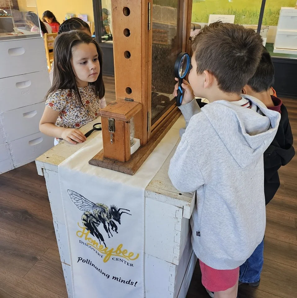 Book a Field Trip — Honeybee Museum