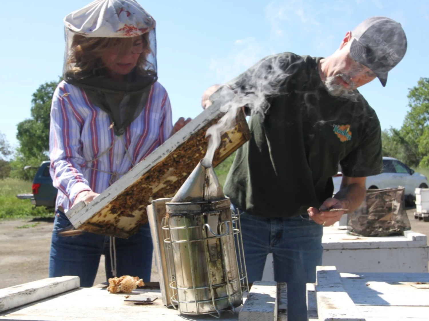 Gallery — Honeybee Museum