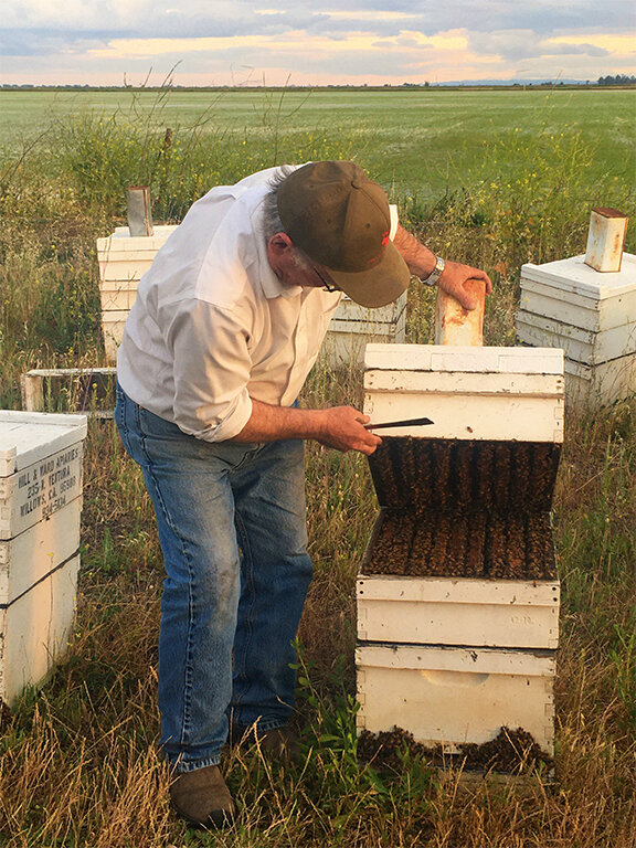 General 4 — Honeybee Museum