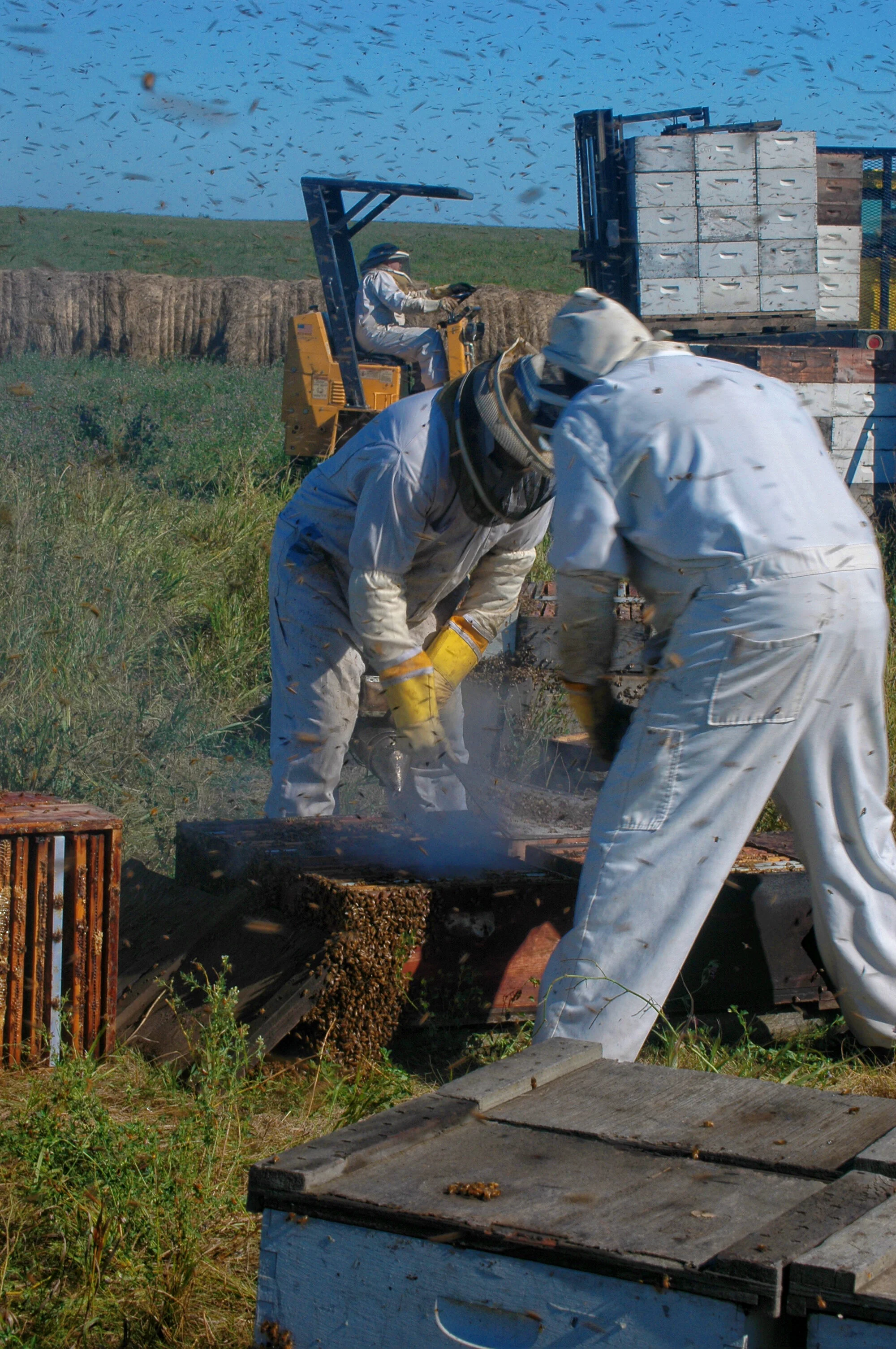 General 4 — Honeybee Museum