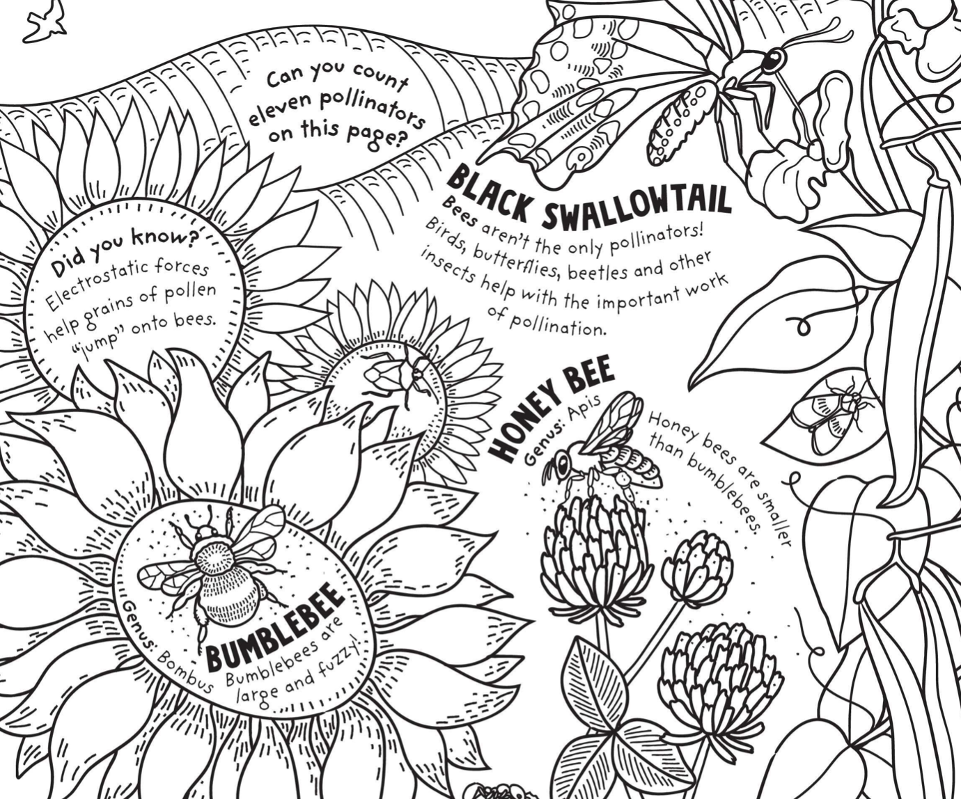 Events — Honeybee Museum