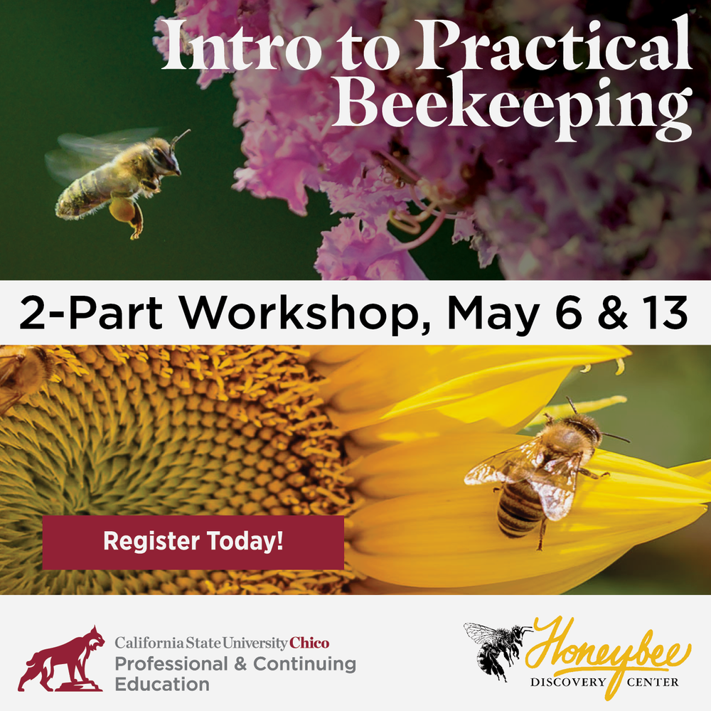 Events — Honeybee Museum