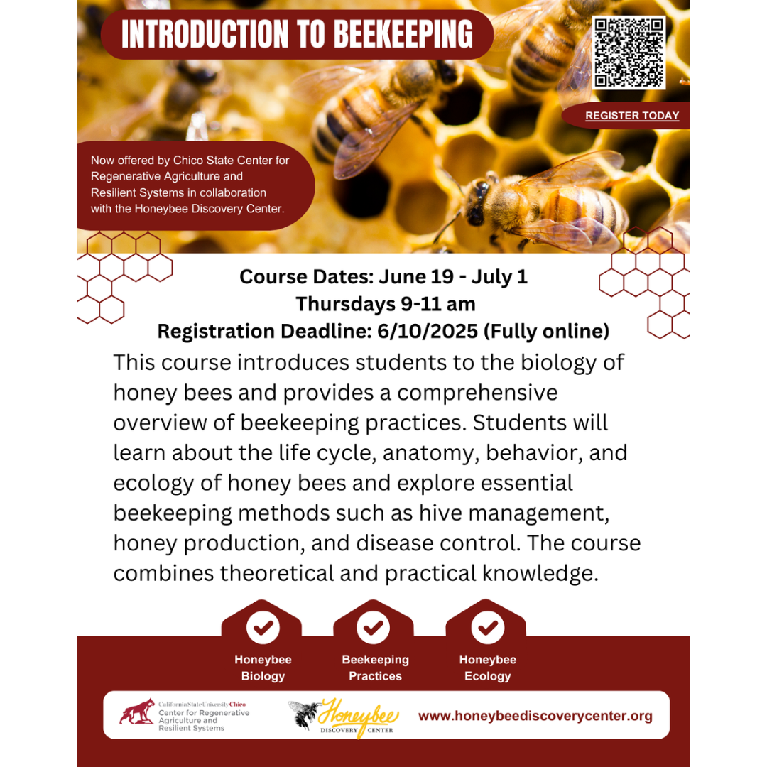 Events — Honeybee Museum