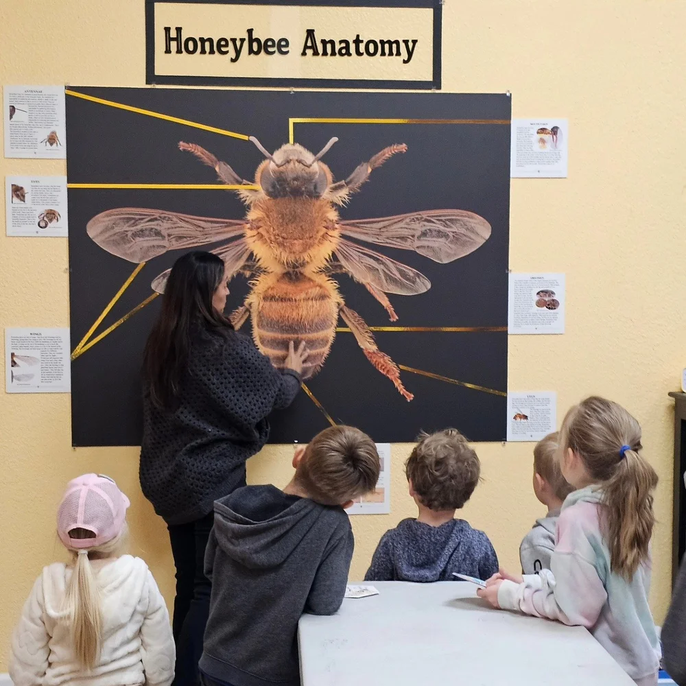 Gallery — Honeybee Museum
