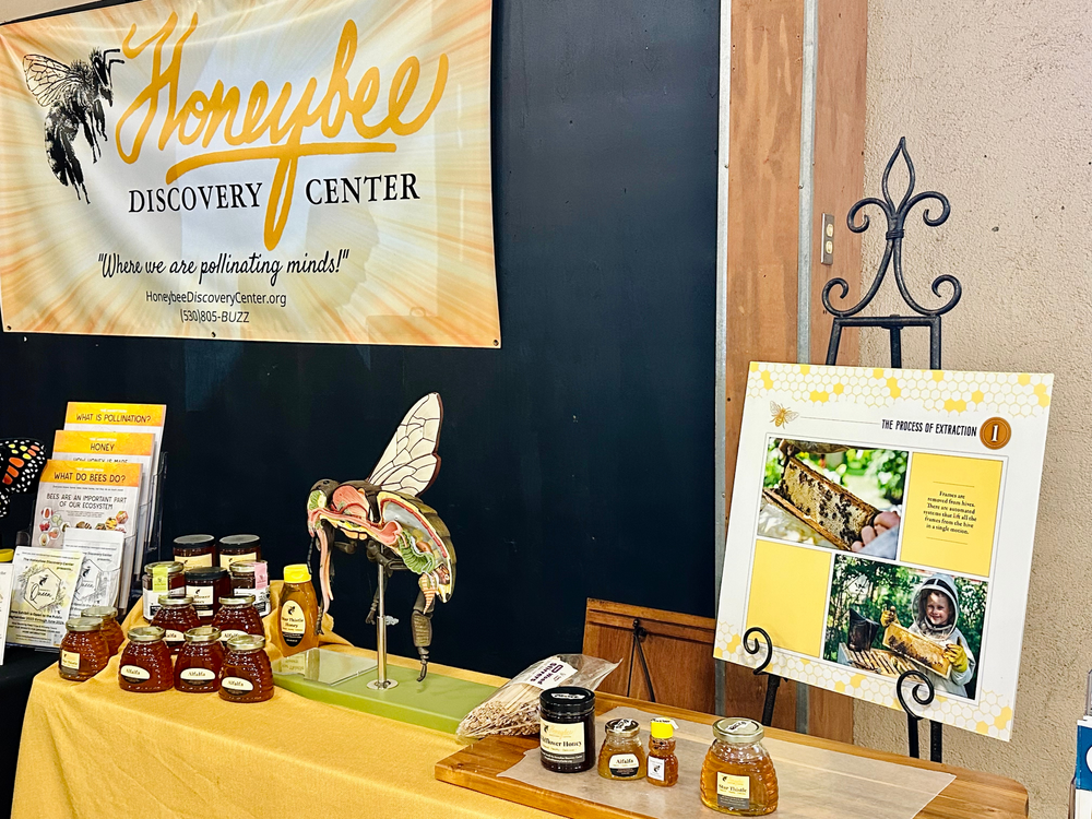 Gallery — Honeybee Museum