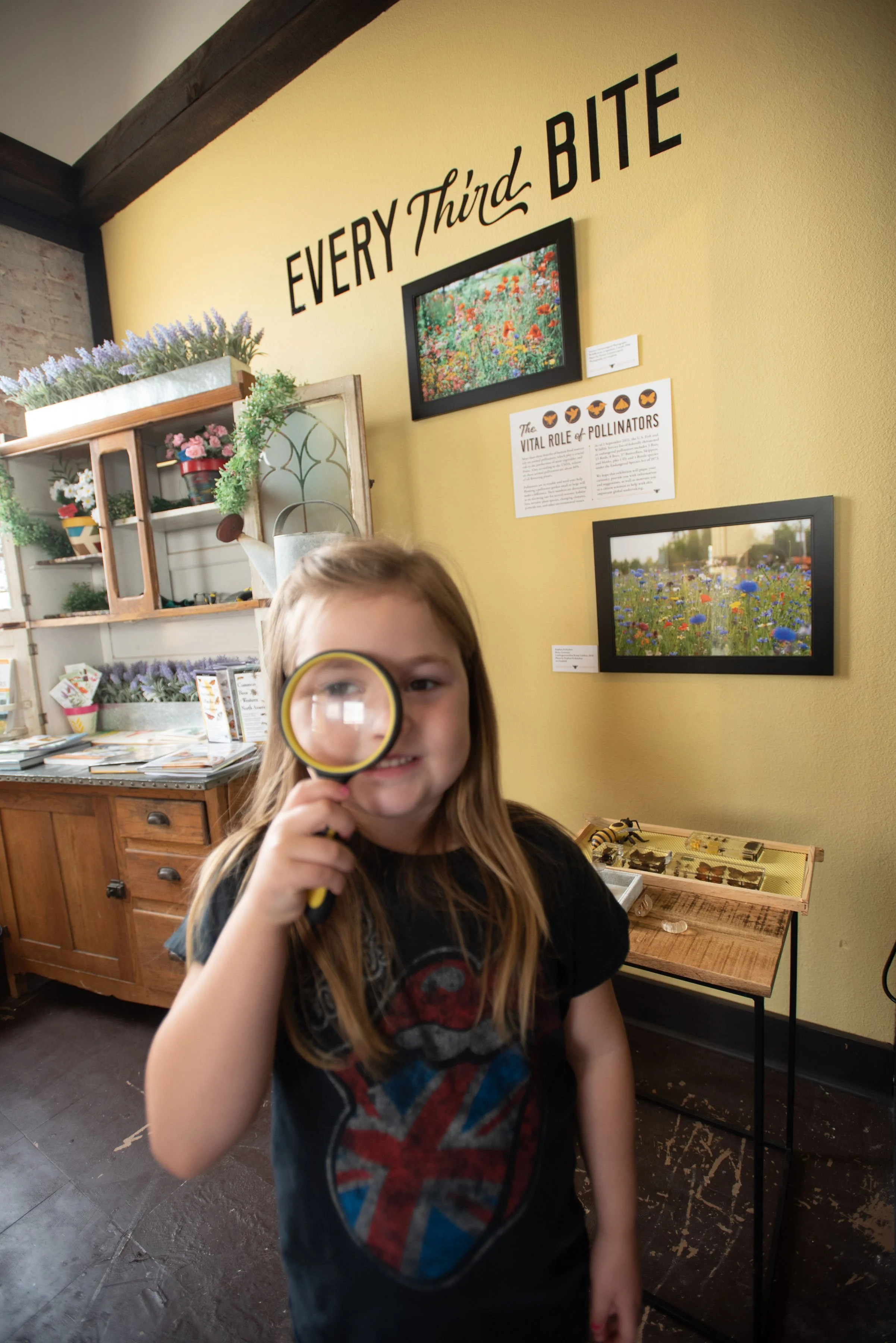 Honeybee Museum