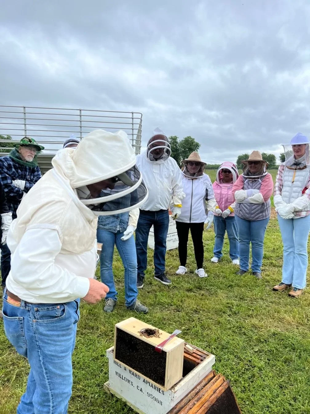 Honeybee Museum