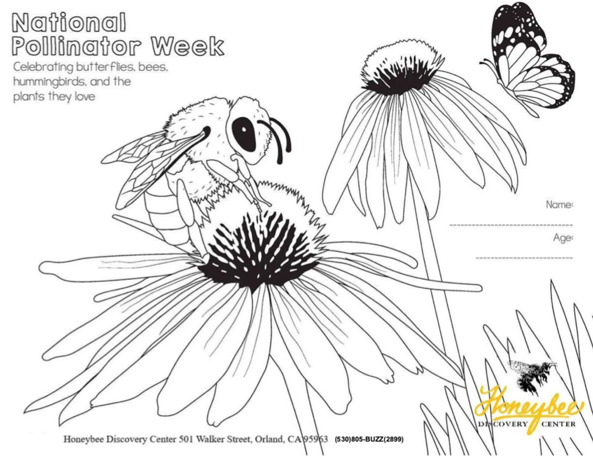 Pollinating Minds — Honeybee Museum