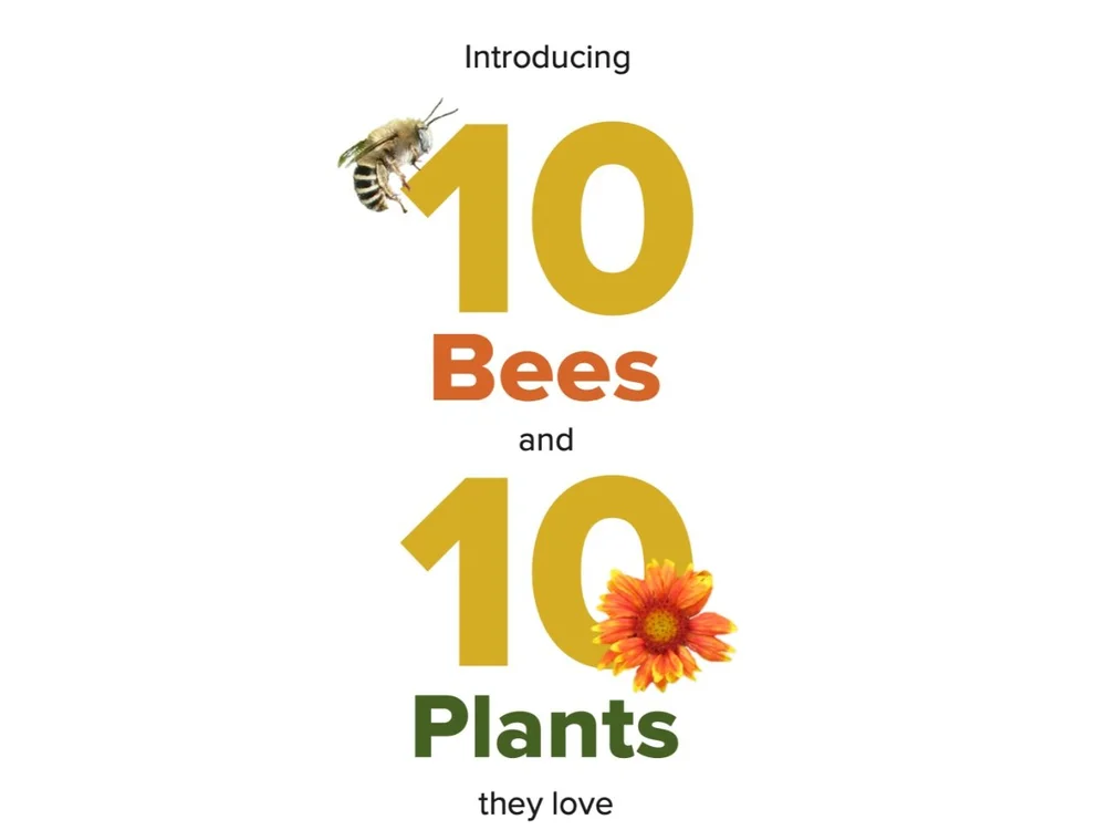 Pollinating Minds — Honeybee Museum