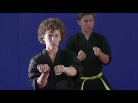 FREE TRIAL CLASS — Arashi Do Sherwood Park