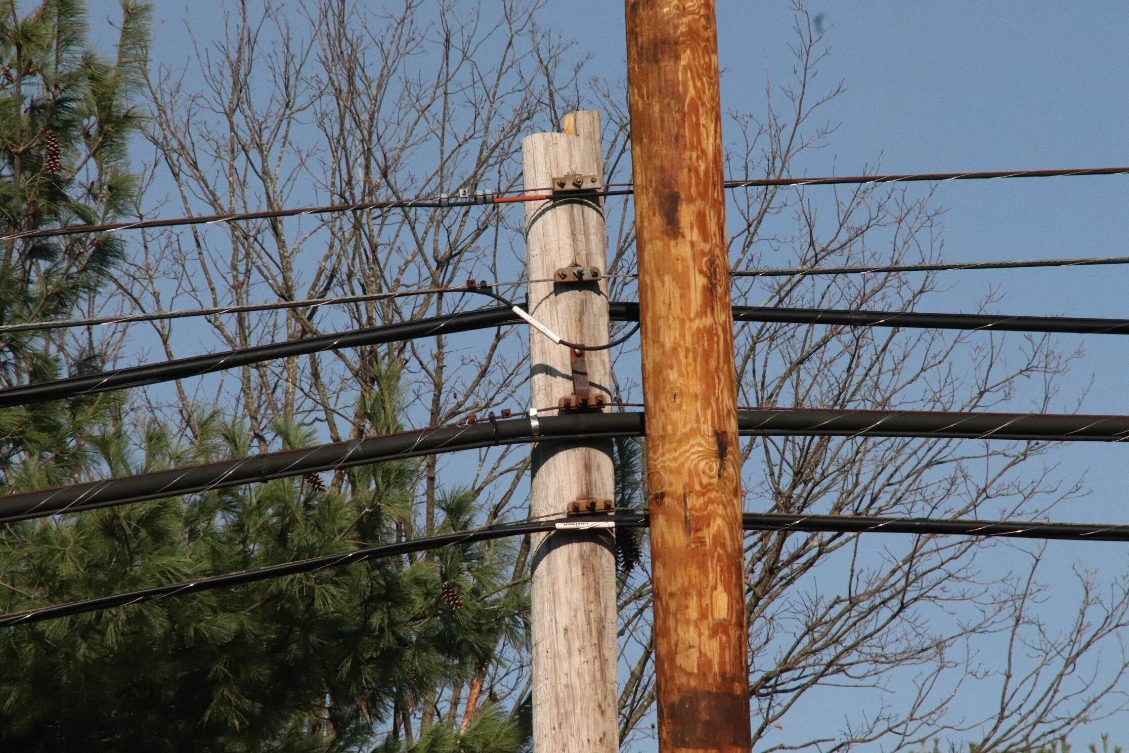 Utility Pole Audits — Katapult Engineering