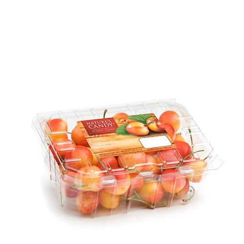 Nature's Candy — CMI Cherries