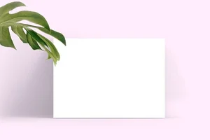 What Is The Most Valuable Post Card? — OwnersOasis