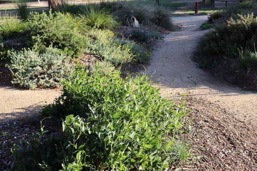 Sam Crawford Landscape Design