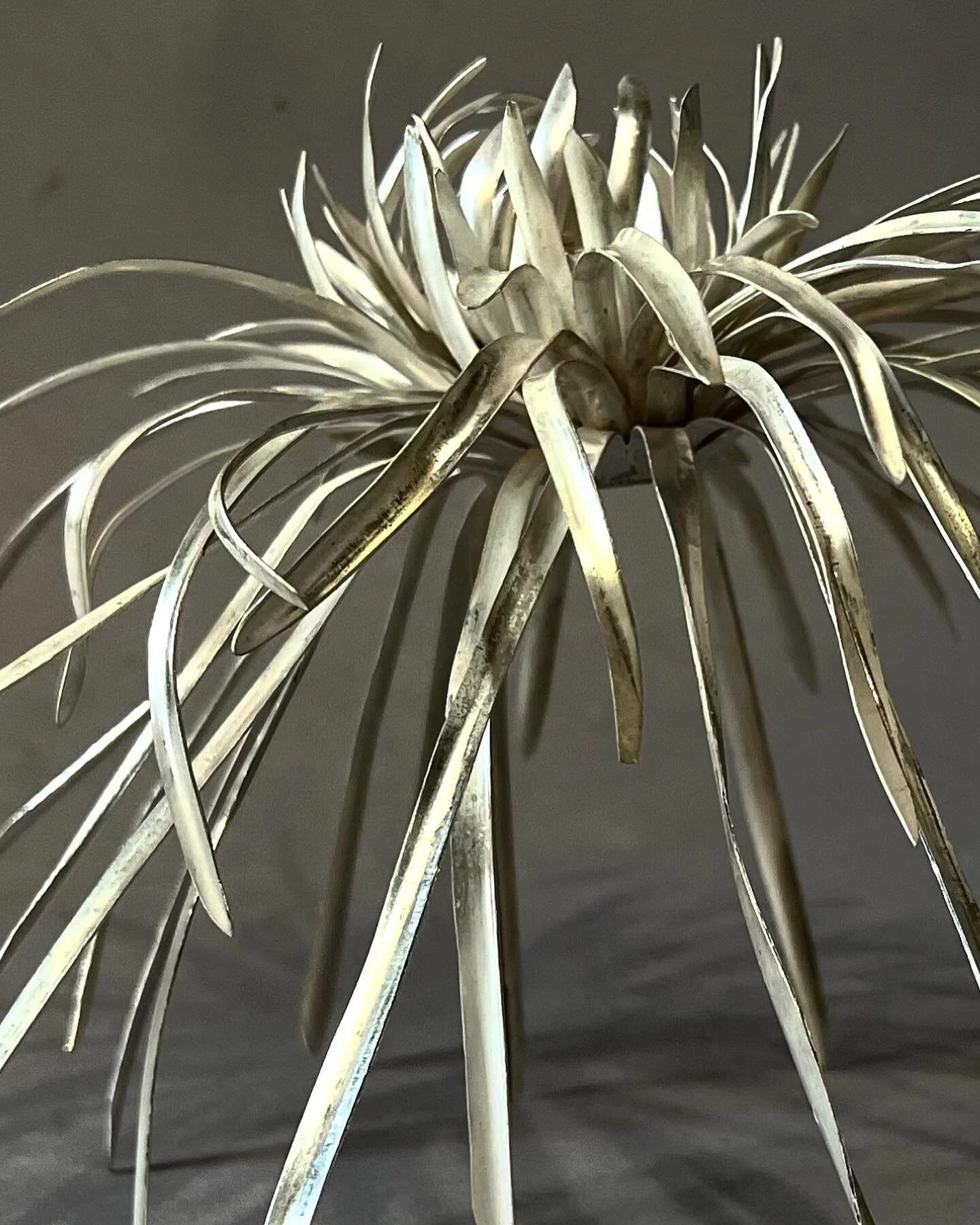 ALISON LAYTON STUDIO