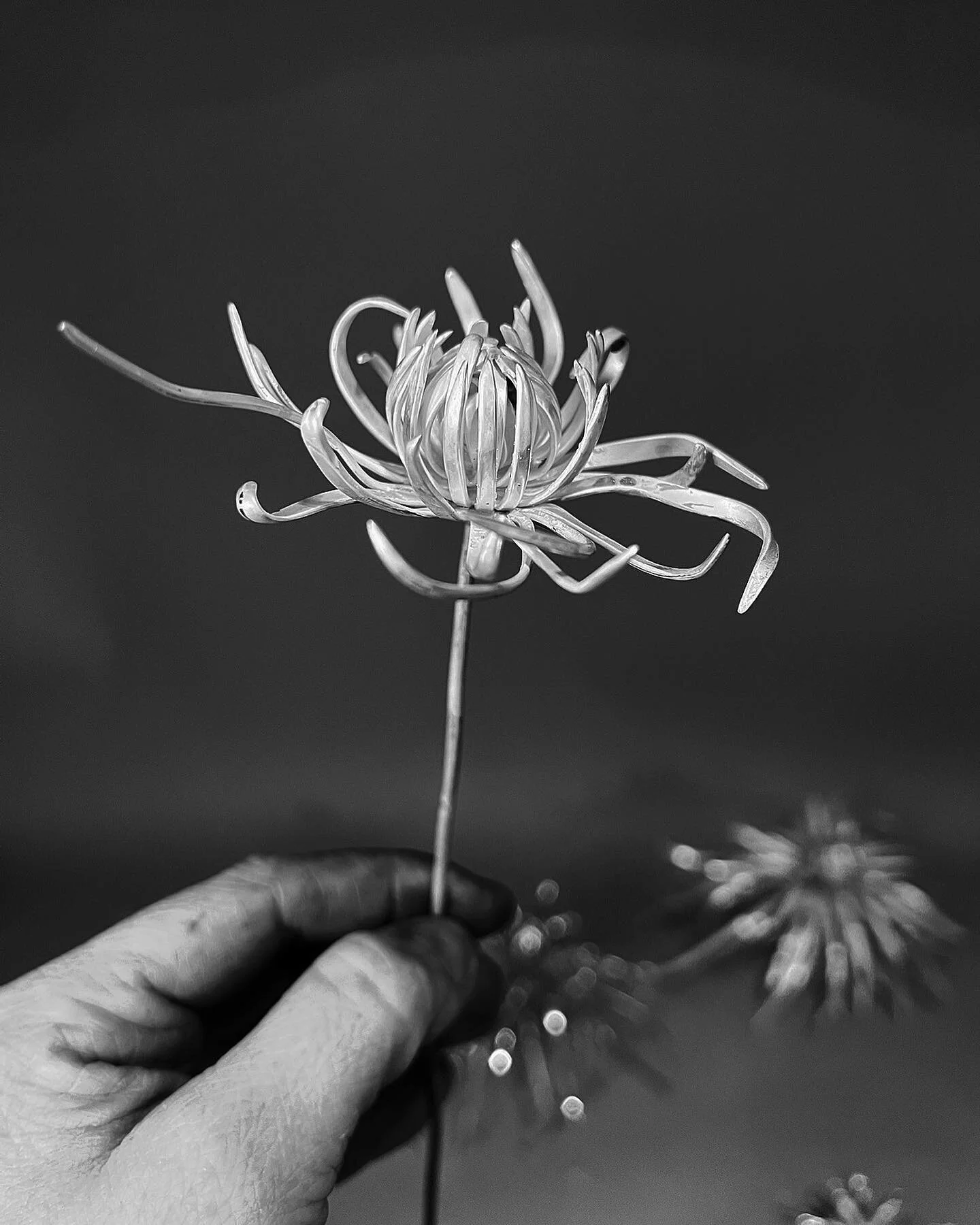 ALISON LAYTON STUDIO