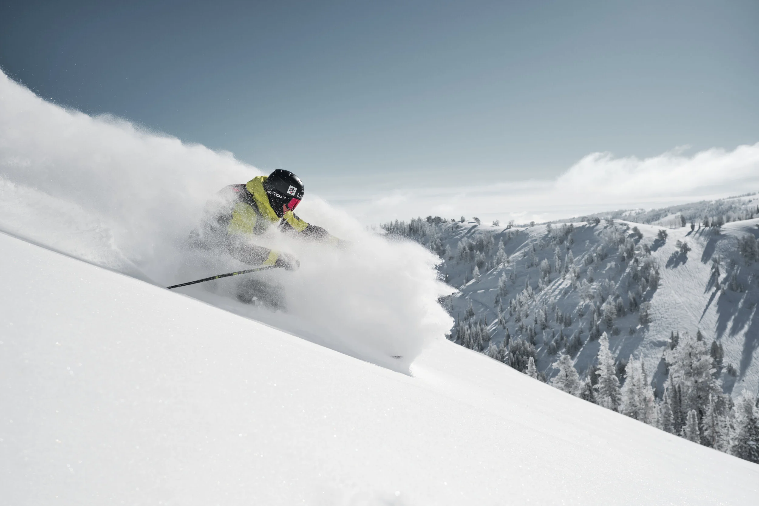 William Renaud Studio