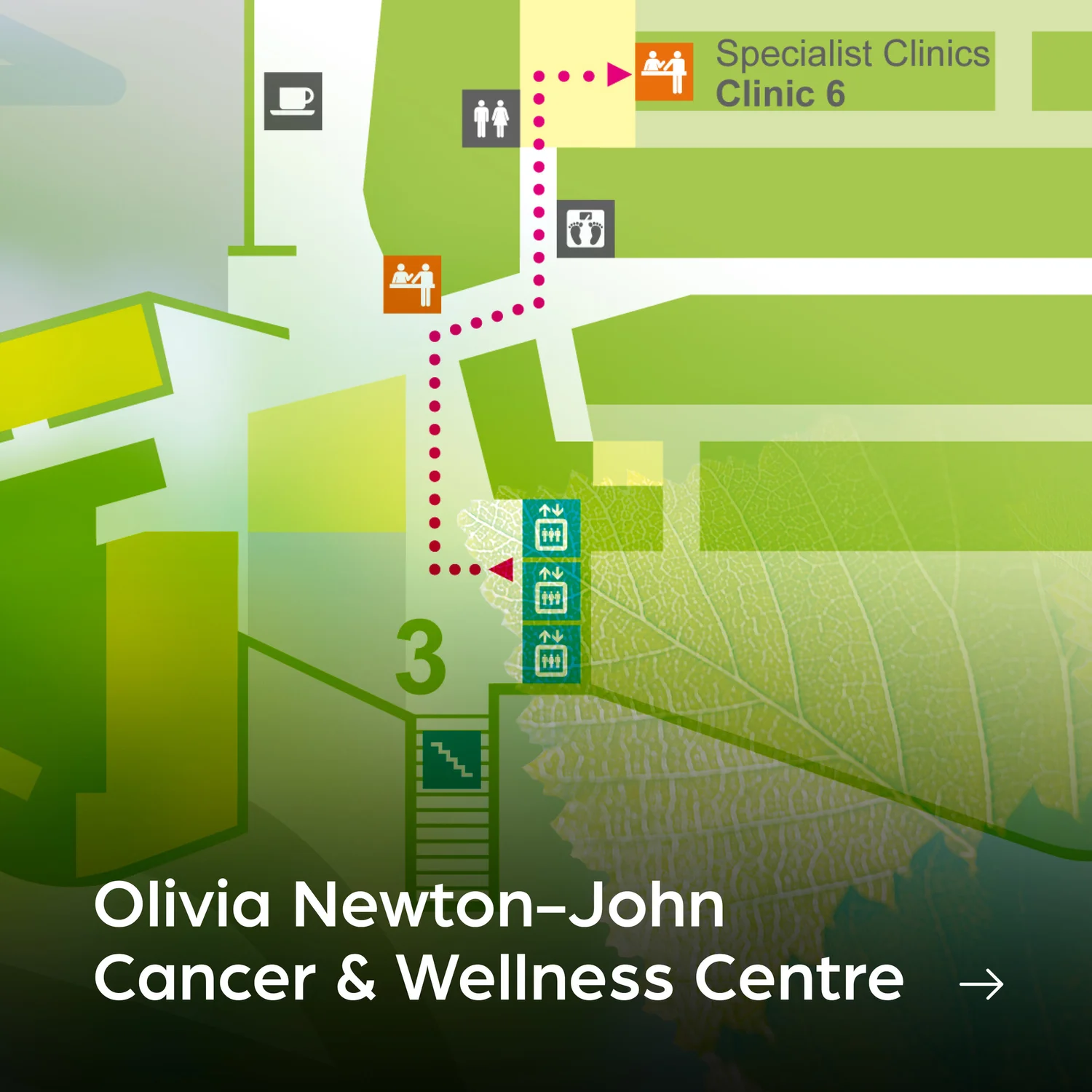 Projects #OnSite — Cordial Creative