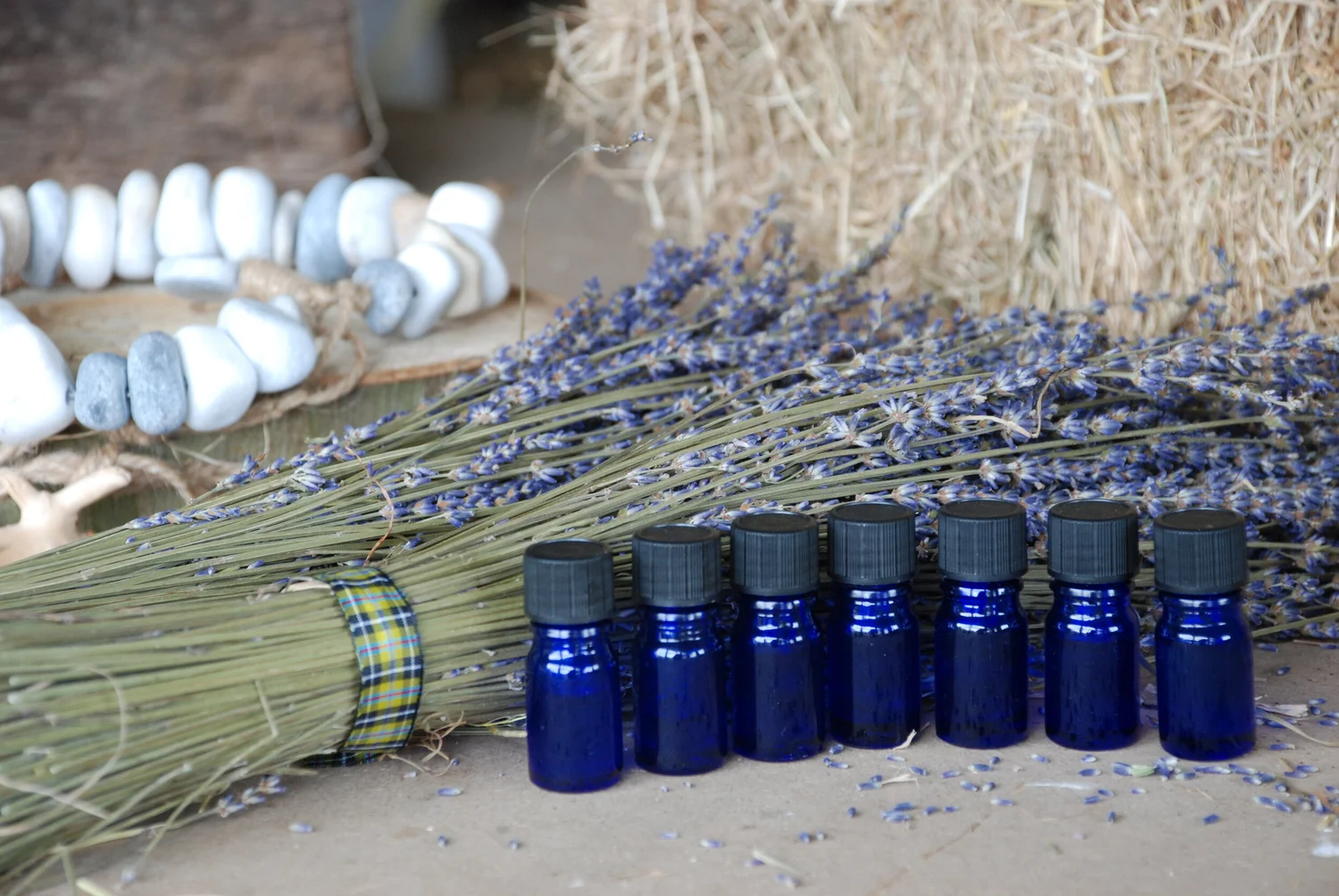 About Us — Cornish Lavender