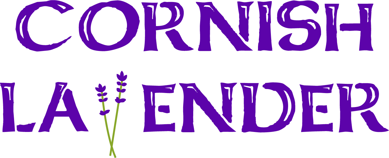 Cornish Lavender