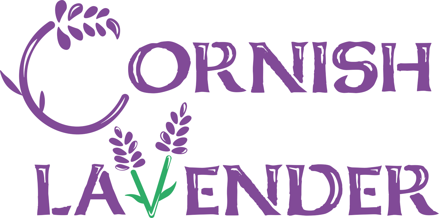 Cornish Lavender