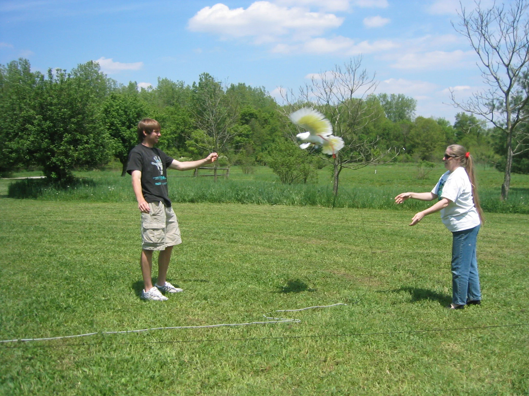 Aviator Leash Extension | The Aviator Harness
