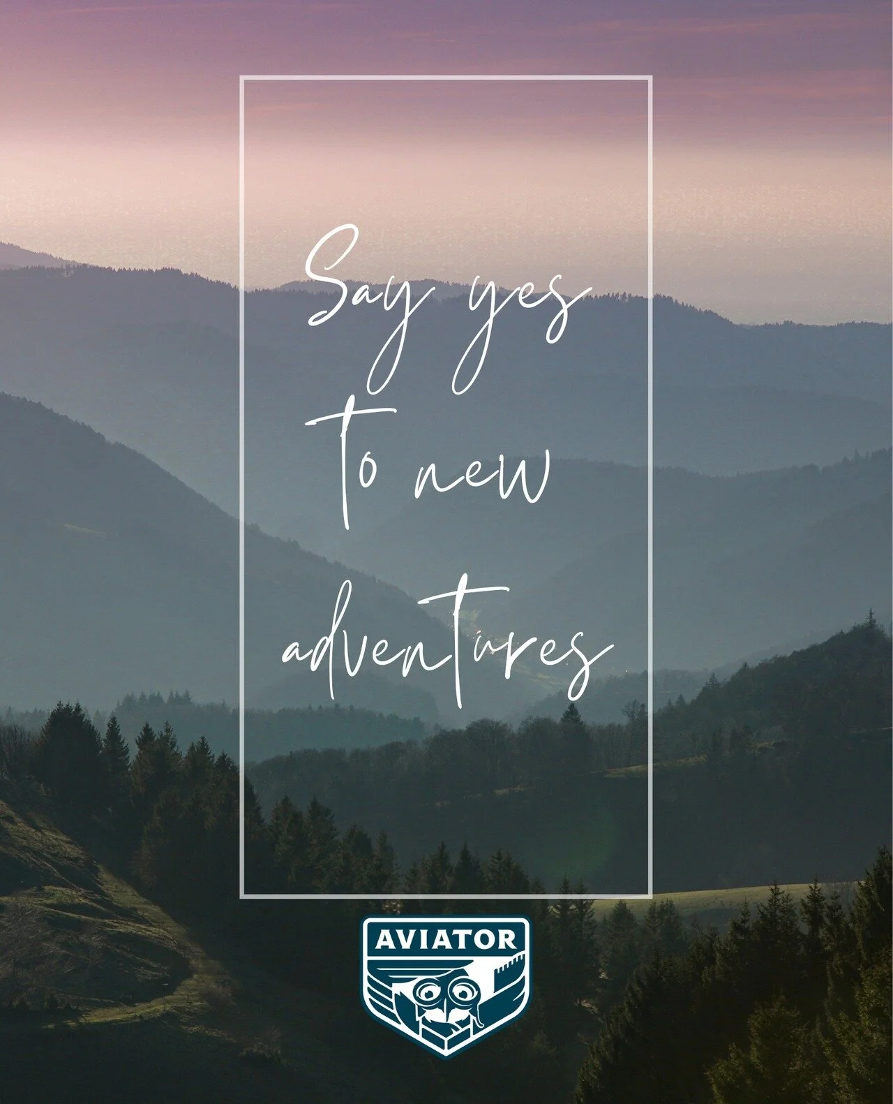 Aviator Harness and Leash | The Aviator Harness