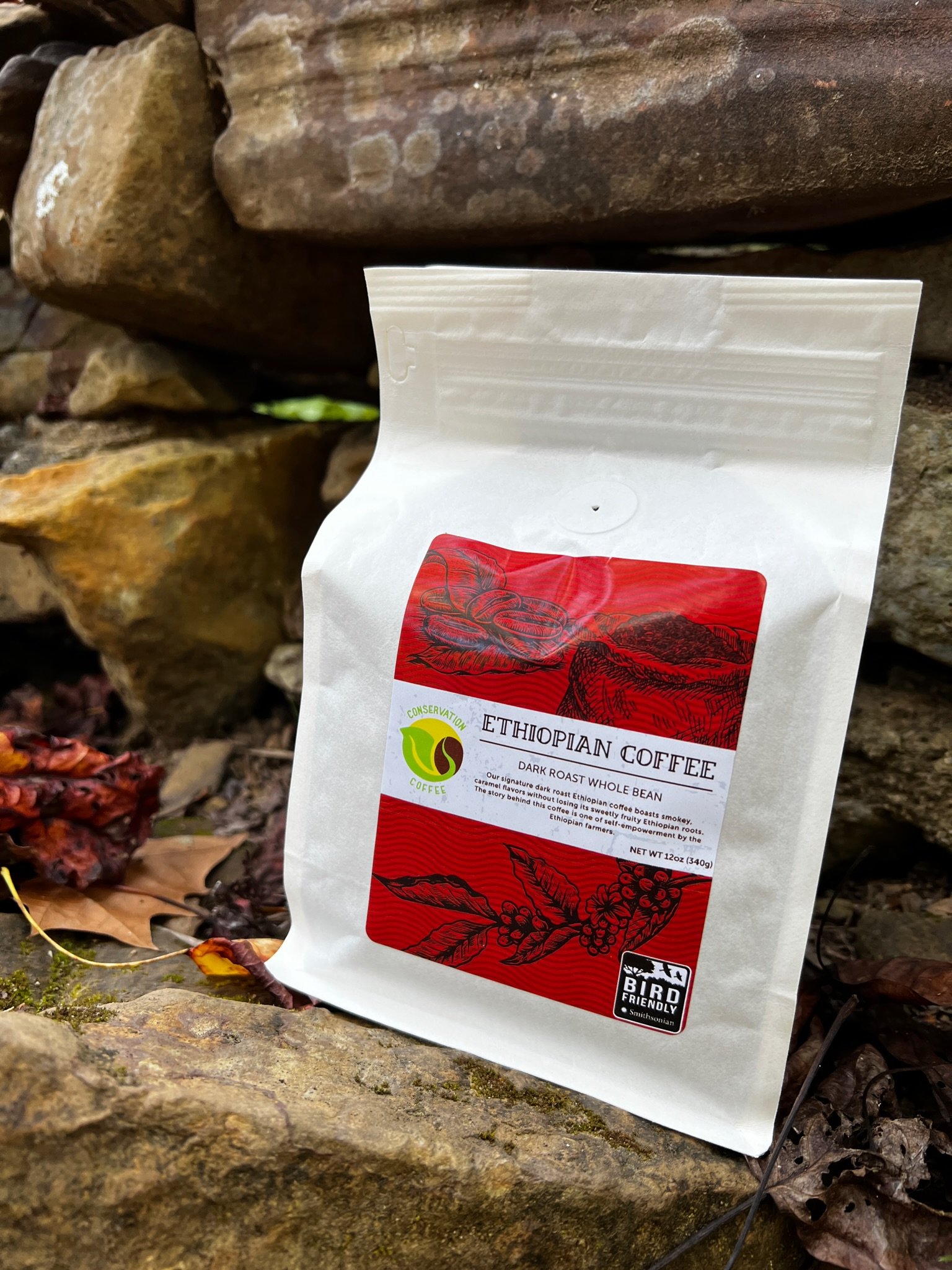 Store | The Aviator Harness