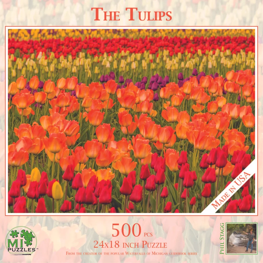 Tulips in Bloom: A Springtime Journey Through Holland, Michigan — MI ...