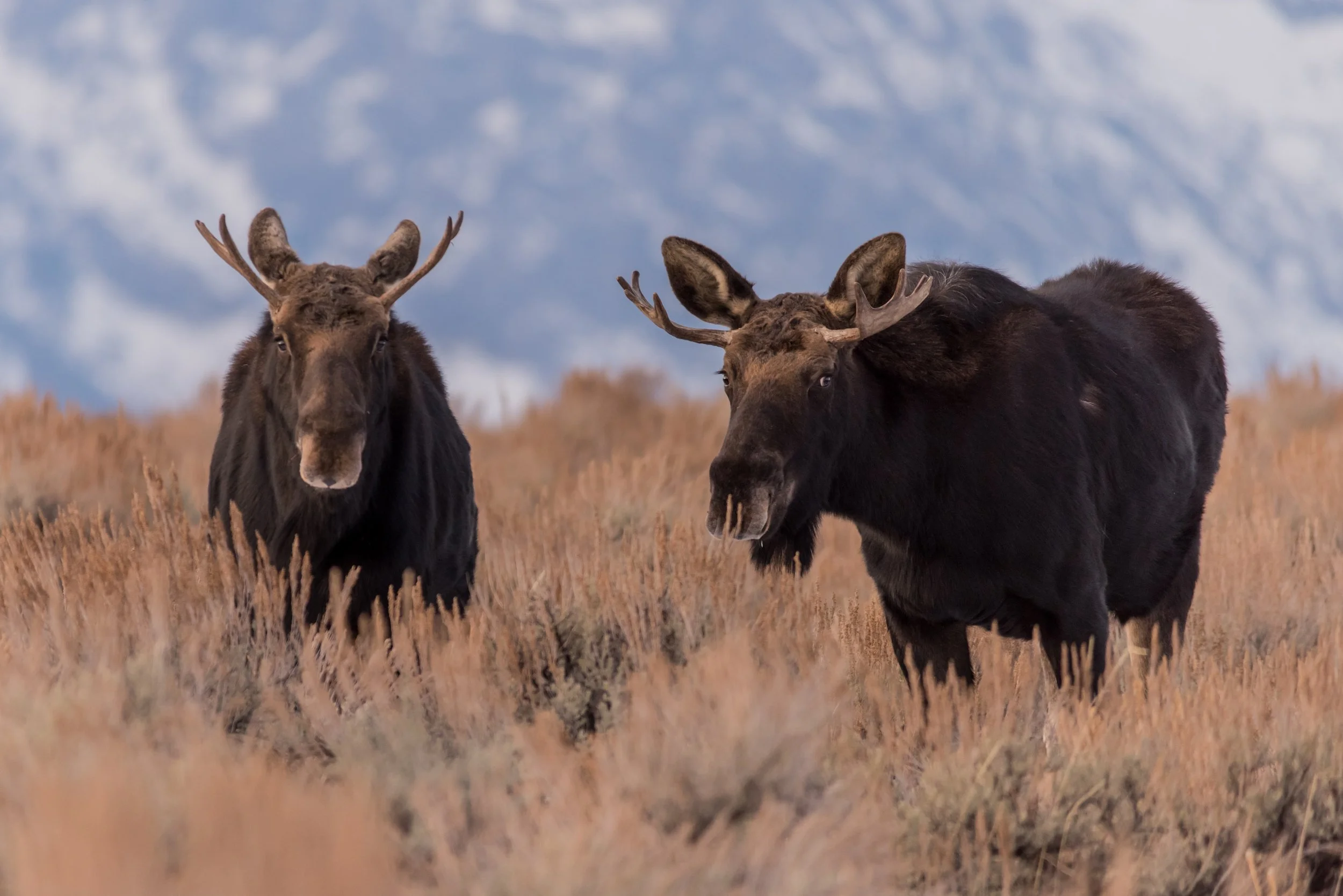 PHIL STAGG PHOTOGRAPHY