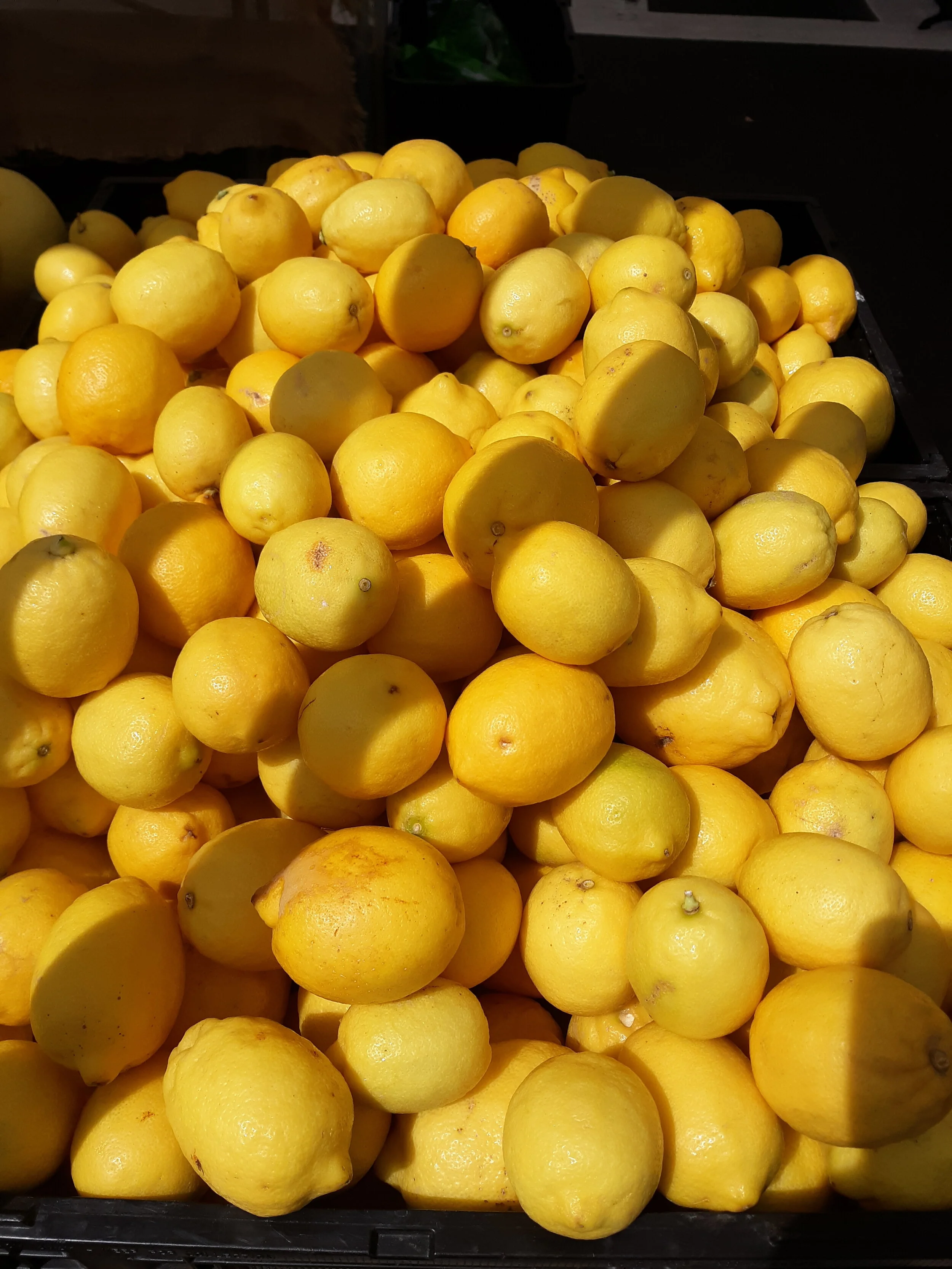 What We Grow — C. McFarlin Family Farms