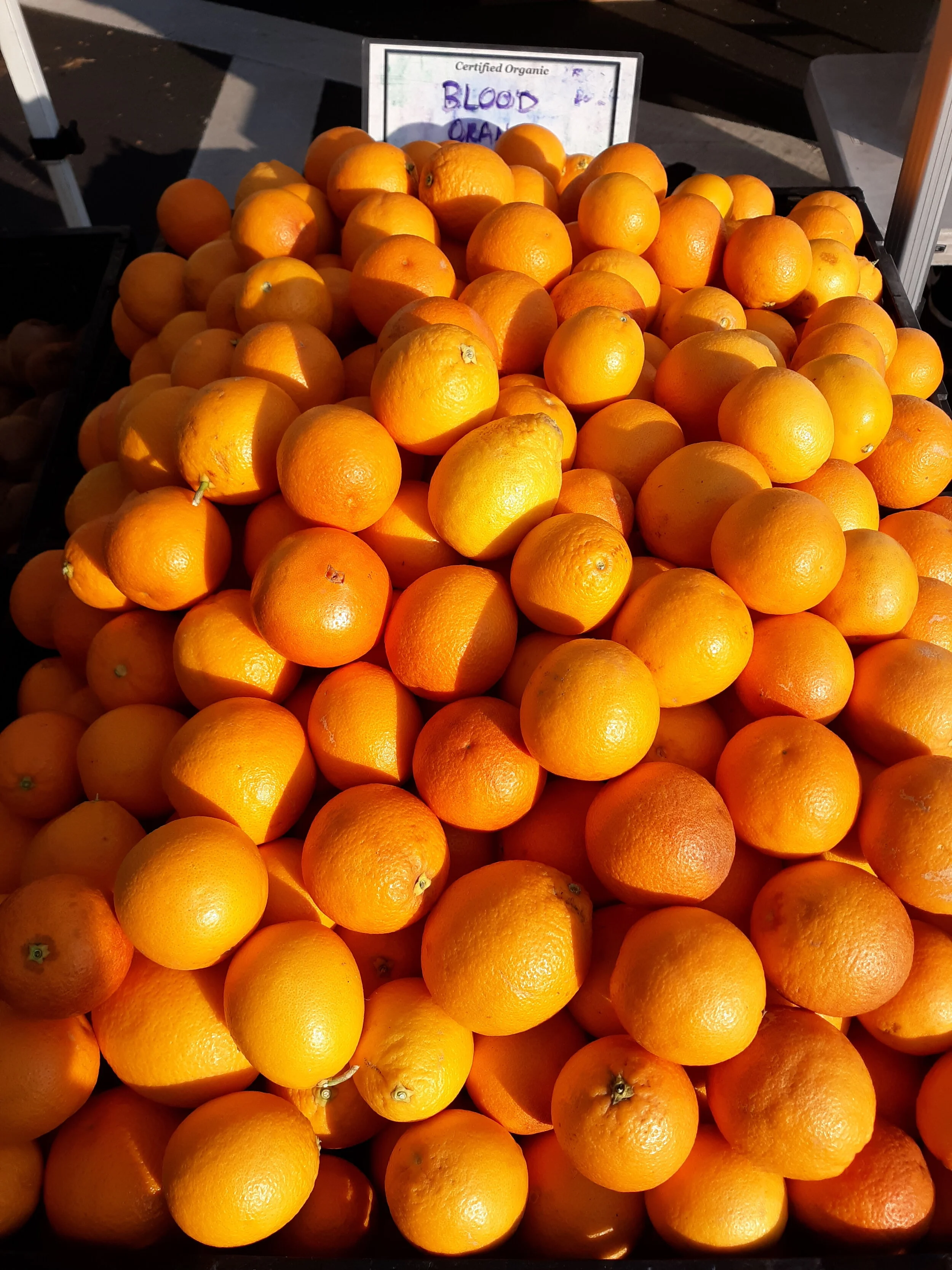 What We Grow — C. McFarlin Family Farms