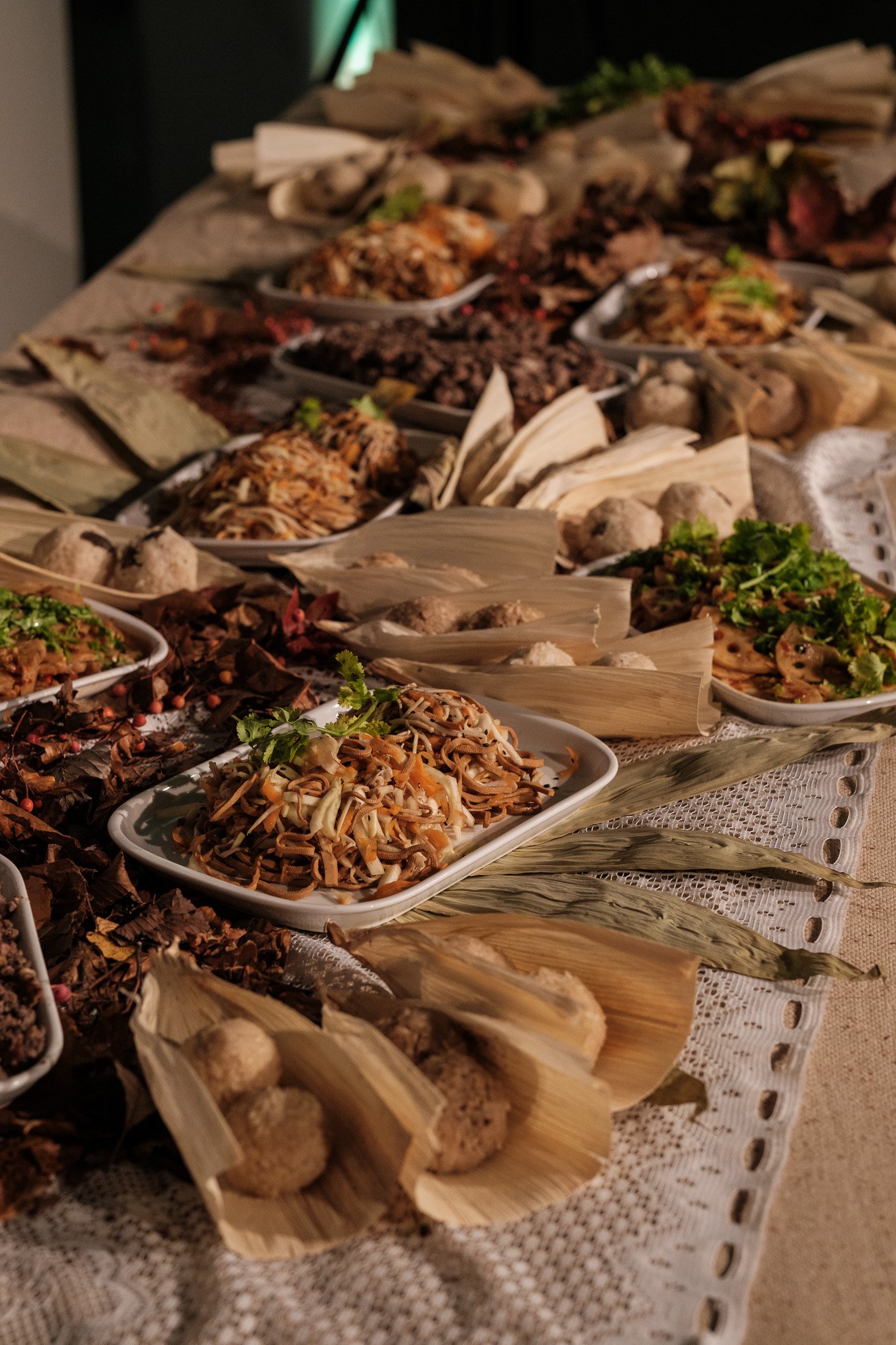 Soil Journey — Studio LI Yuchen