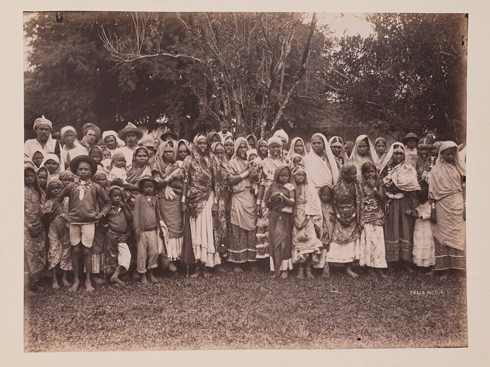 Public Articles - Indentured Labour — Ameena Gafoor Institute