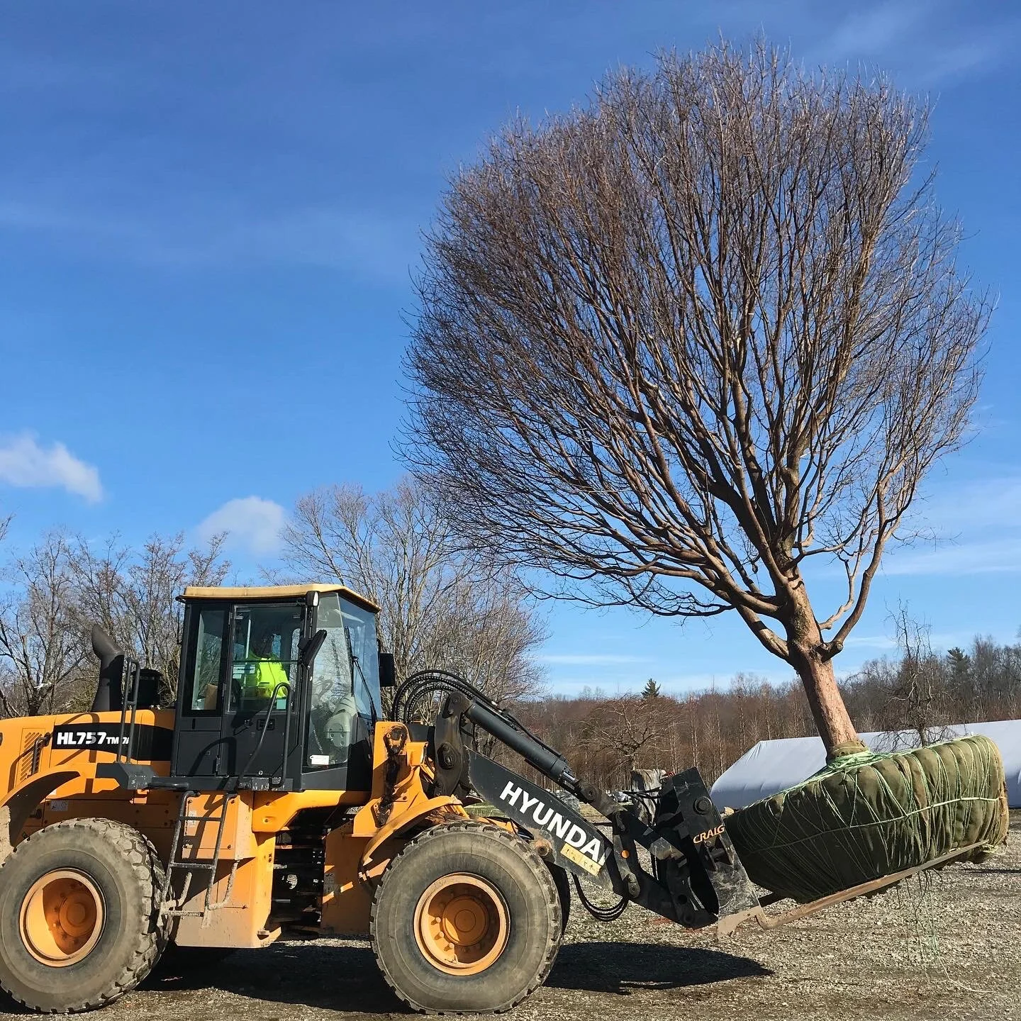 Untitled [www.selecthorticulture.com]