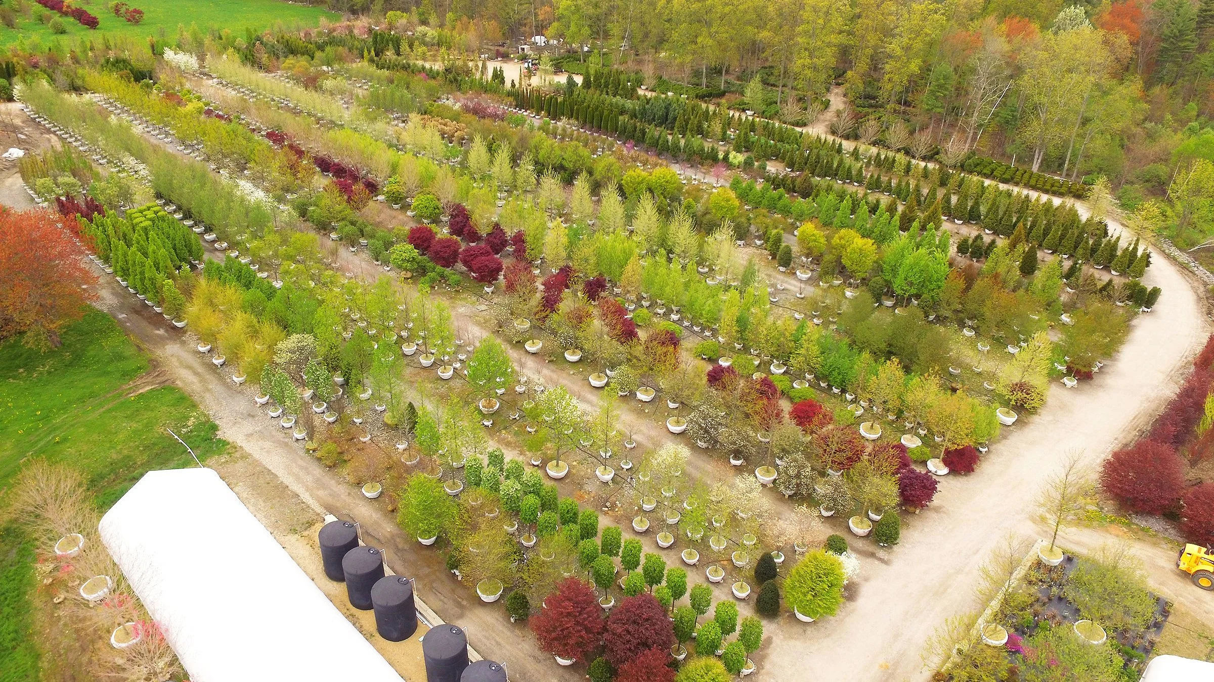 Untitled [www.selecthorticulture.com]