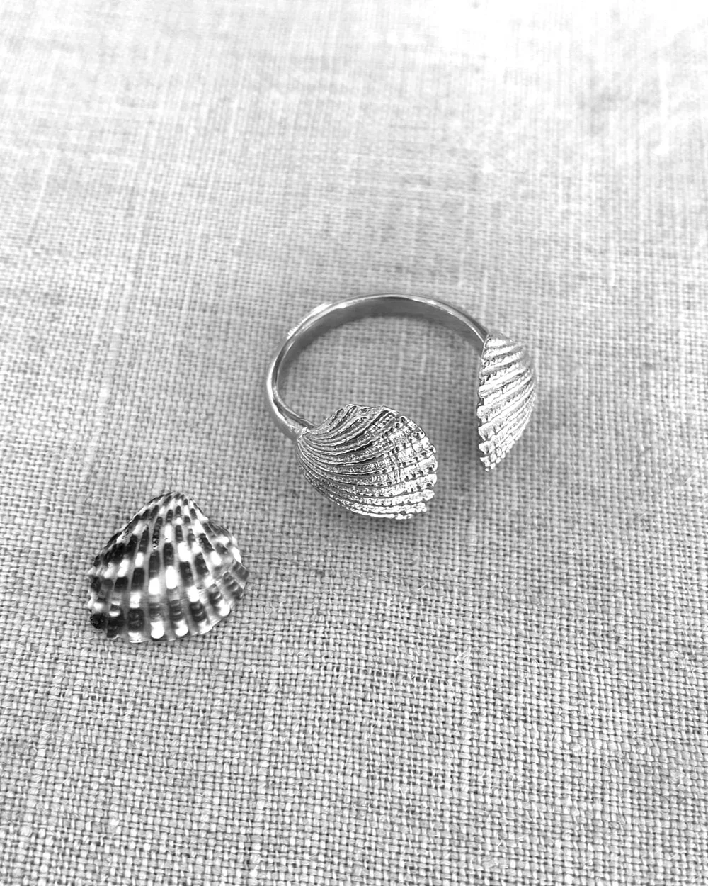 IN WATER - CARDITA SHELL RING — Atteya