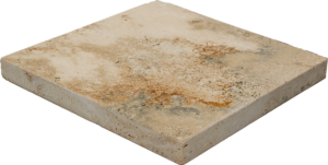 Ivory Rustic — STONE AVENUE