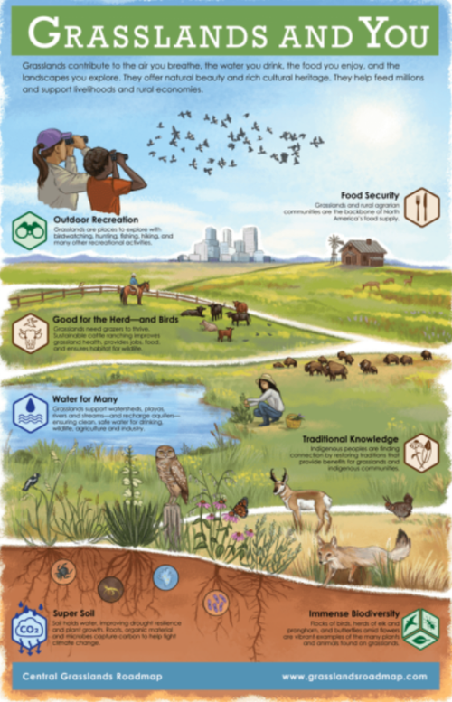 Resources — Central Grasslands Roadmap