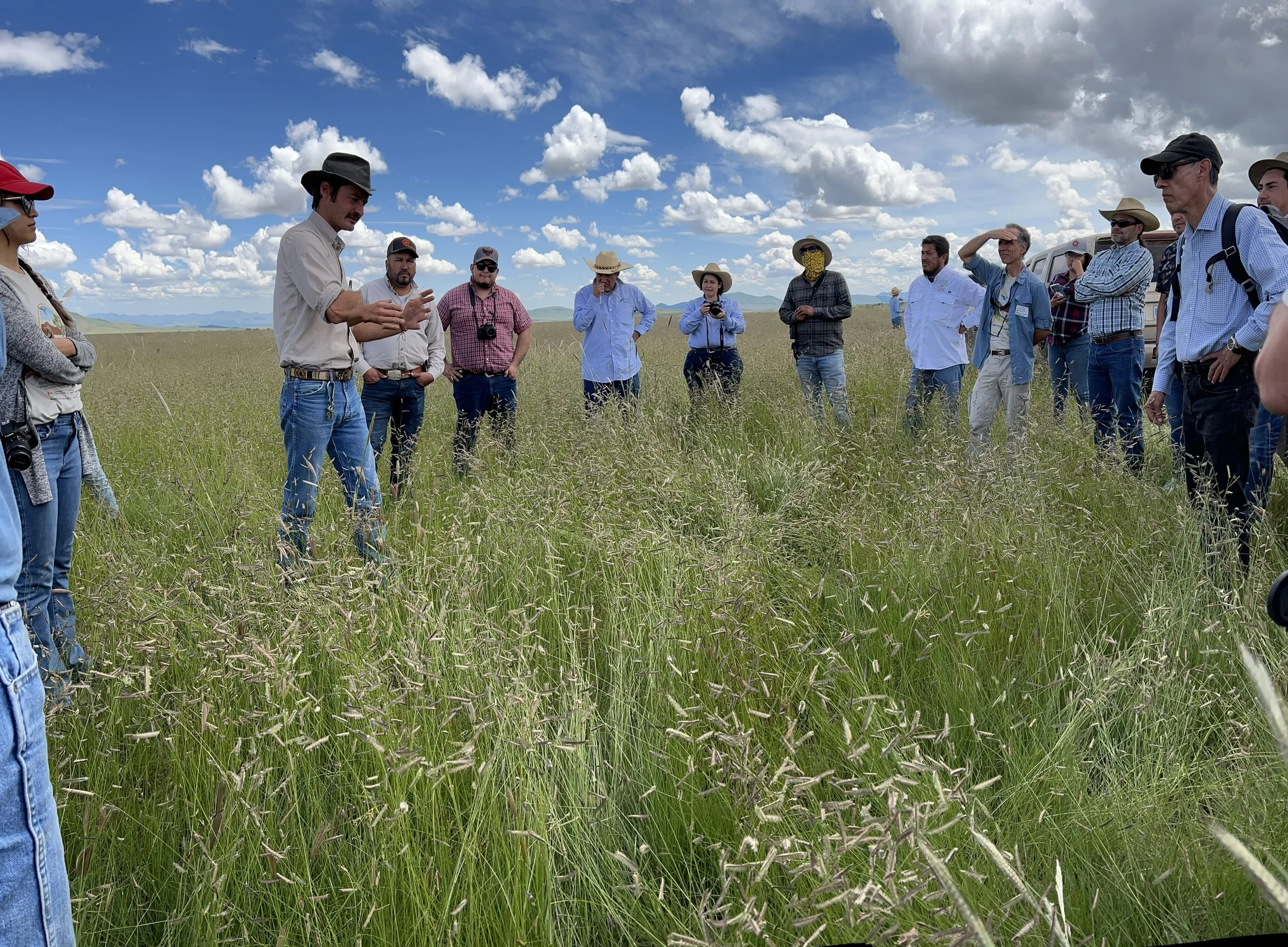Join Grasslands Conservation Today