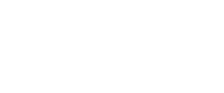BevCap Management